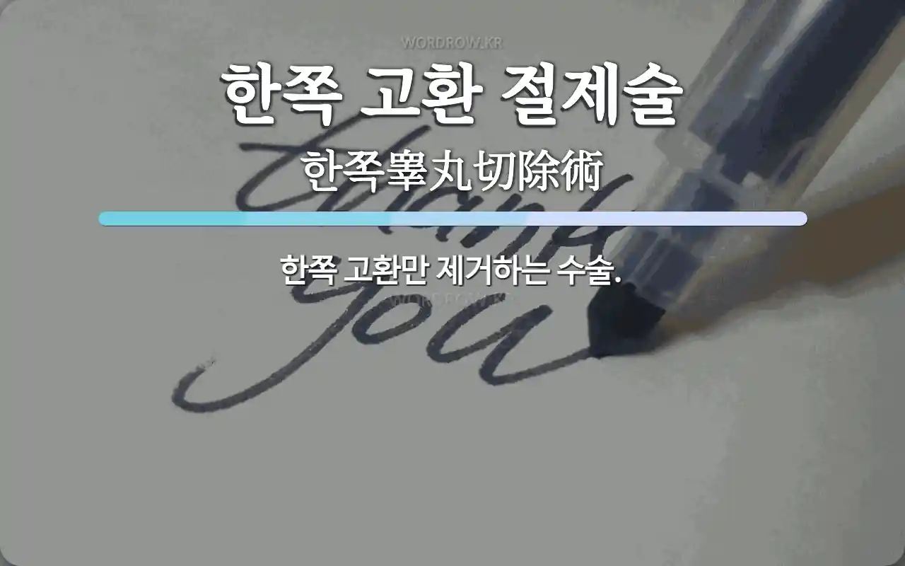 한쪽 고환 절제술 뜻 한쪽 고환만 제거하는 수술
