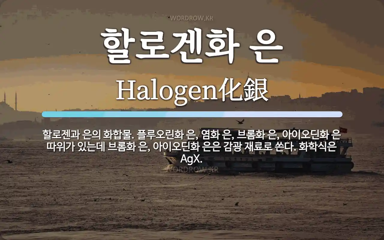 할로겐화 은 뜻 할로젠과 은의 화합물 플루오린화 은 염화 은 브롬화 은 아이오딘화 은 따위가 있는데