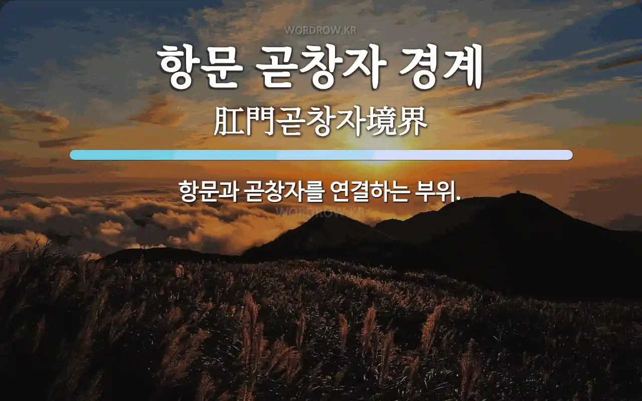 항문 곧창자 경계 뜻 항문과 곧창자를 연결하는 부위
