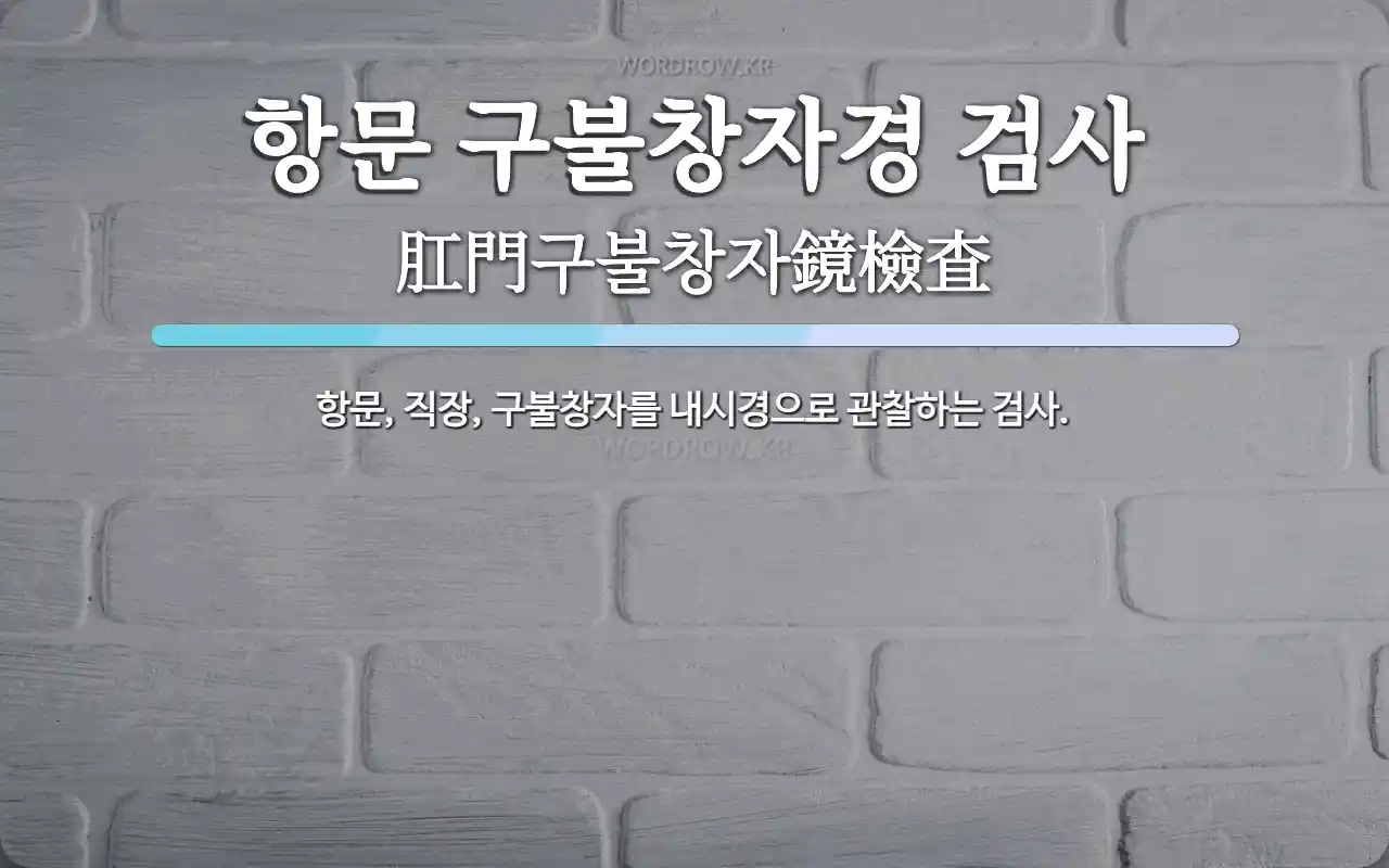 항문 구불창자경 검사 뜻 항문 직장 구불창자를 내시경으로 관찰하는 검사