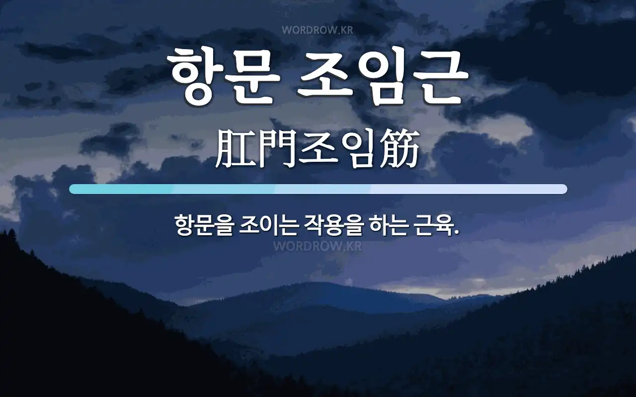 항문 조임근 뜻 항문을 조이는 작용을 하는 근육