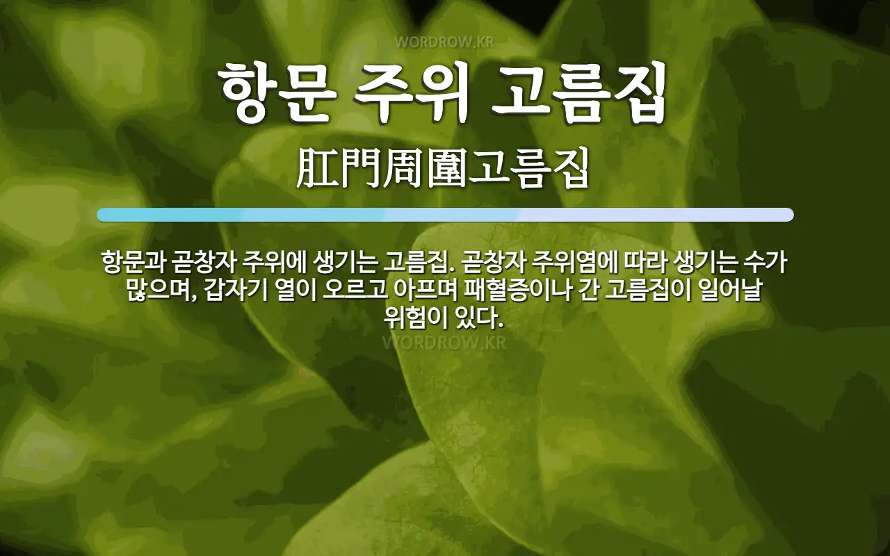항문 주위 고름집 뜻 항문과 곧창자 주위에 생기는 고름집 곧창자 주위염에 따라 생기는 수가 많으며 갑자기 열