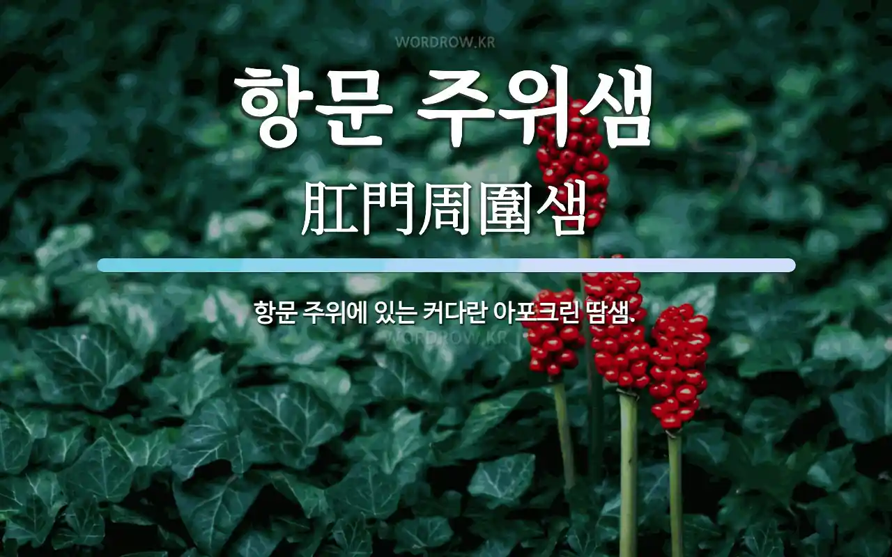 항문 주위샘 뜻 항문 주위에 있는 커다란 아포크린 땀샘