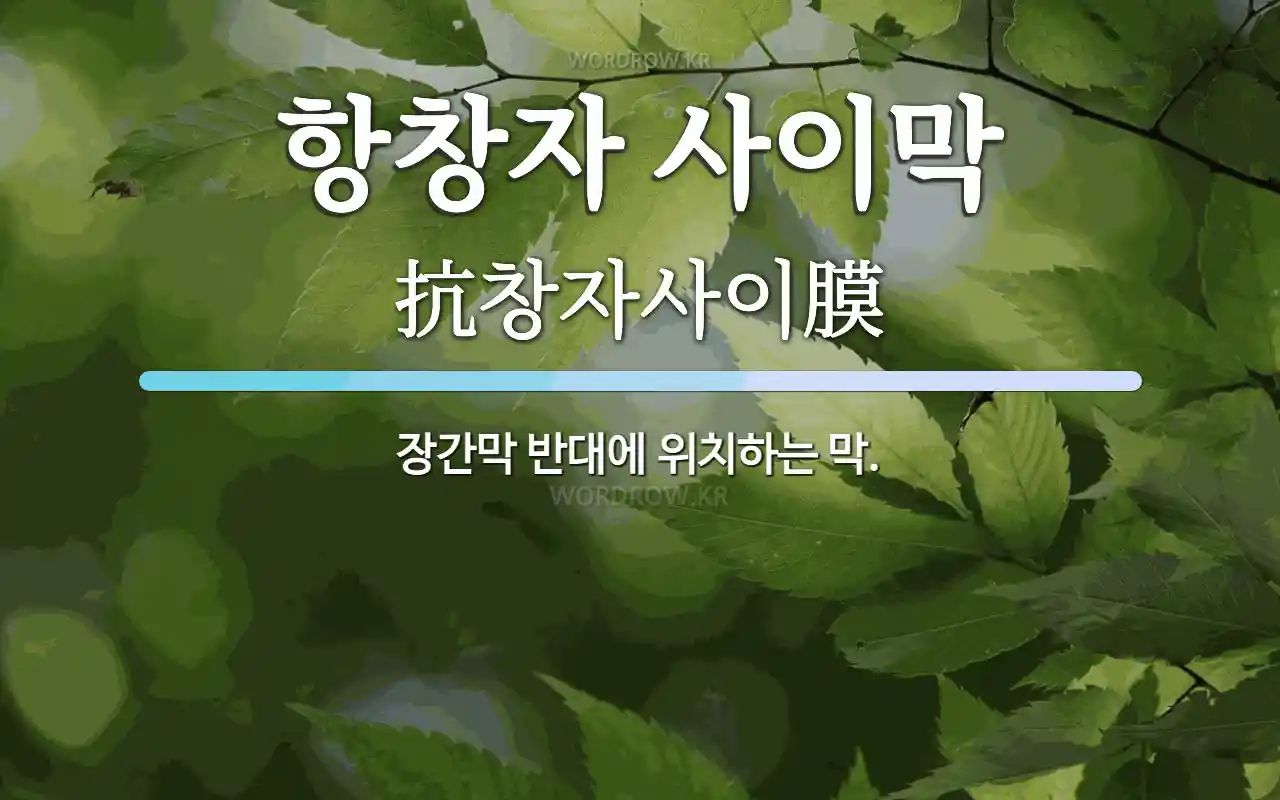 항창자 사이막 뜻 장간막 반대에 위치하는 막