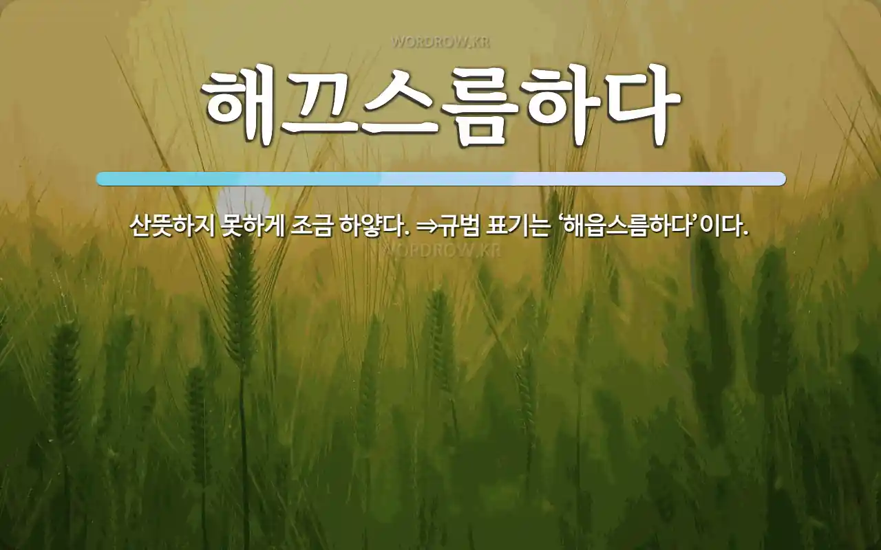해끄스름하다 뜻 산뜻하지 못하게 조금 하얗다 ⇒규범 표기는 ‘해읍스름하다이다