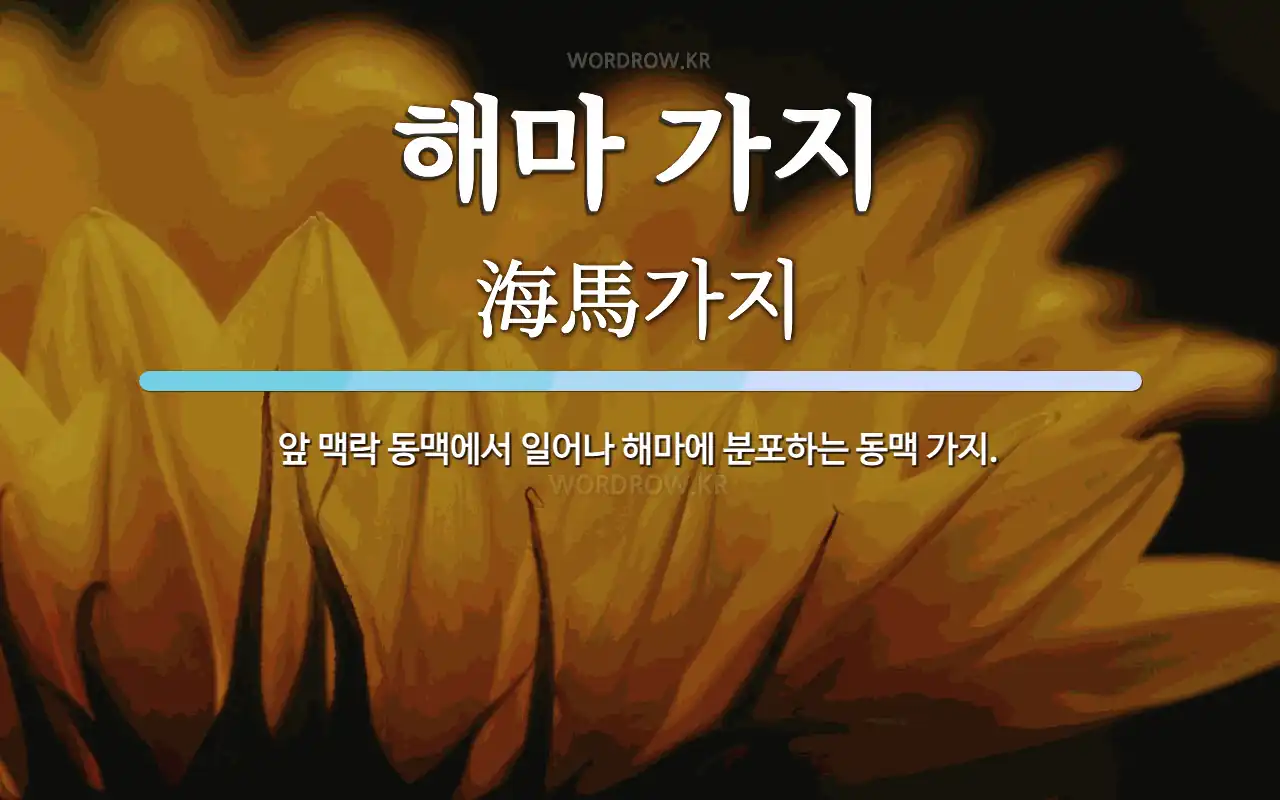해마 가지 뜻 앞 맥락 동맥에서 일어나 해마에 분포하는 동맥 가지