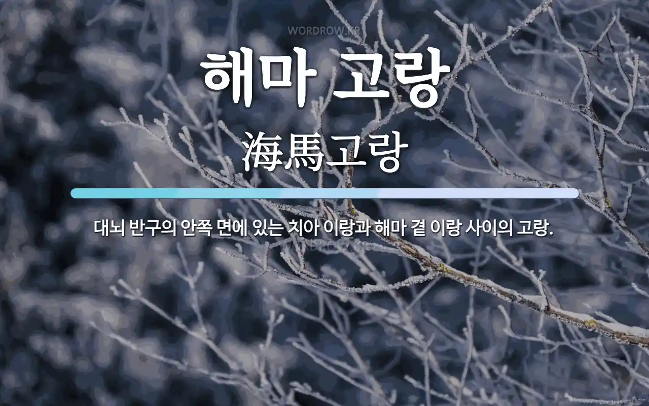 해마 고랑 뜻 대뇌 반구의 안쪽 면에 있는 치아 이랑과 해마 곁 이랑 사이의 고랑
