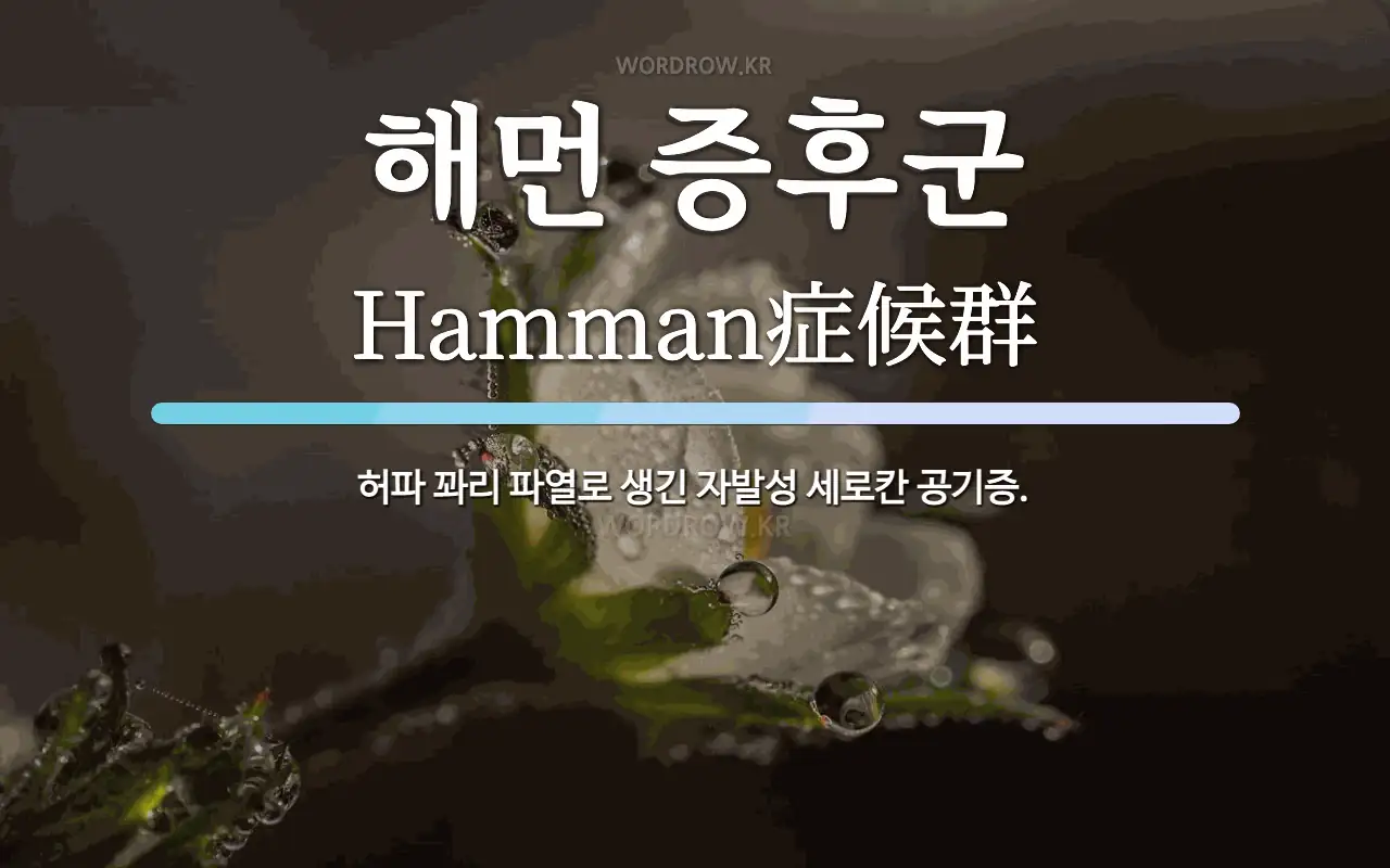 해먼 증후군 뜻 허파 꽈리 파열로 생긴 자발성 세로칸 공기증