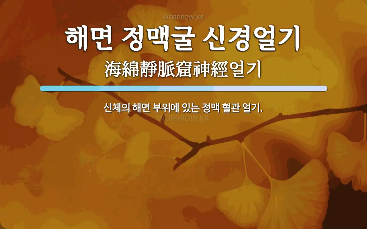 해면 정맥굴 신경얼기 뜻 신체의 해면 부위에 있는 정맥 혈관 얼기