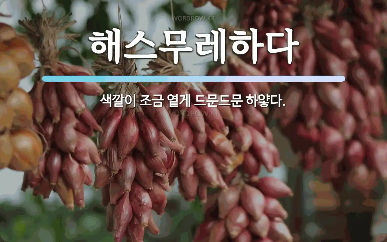해스무레하다 뜻 색깔이 조금 옅게 드문드문 하얗다
