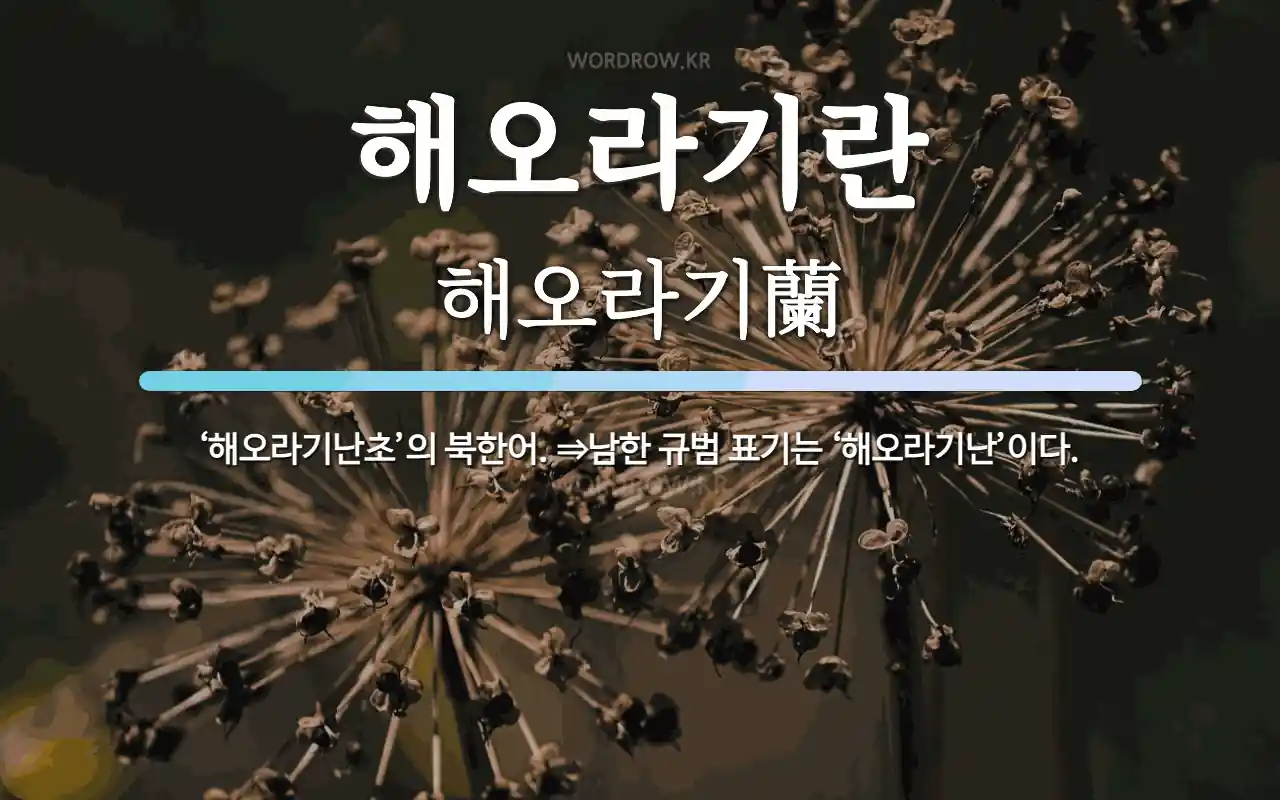 해오라기란 뜻 ‘해오라기난초의 북한어 ⇒남한 규범 표기는 ‘해오라기난이다