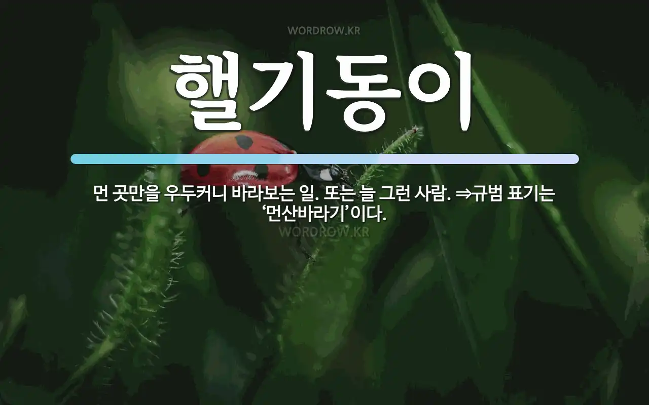 핼기동이 뜻 먼 곳만을 우두커니 바라보는 일 또는 늘 그런 사람 ⇒규범 표기는 ‘먼산바라기이다