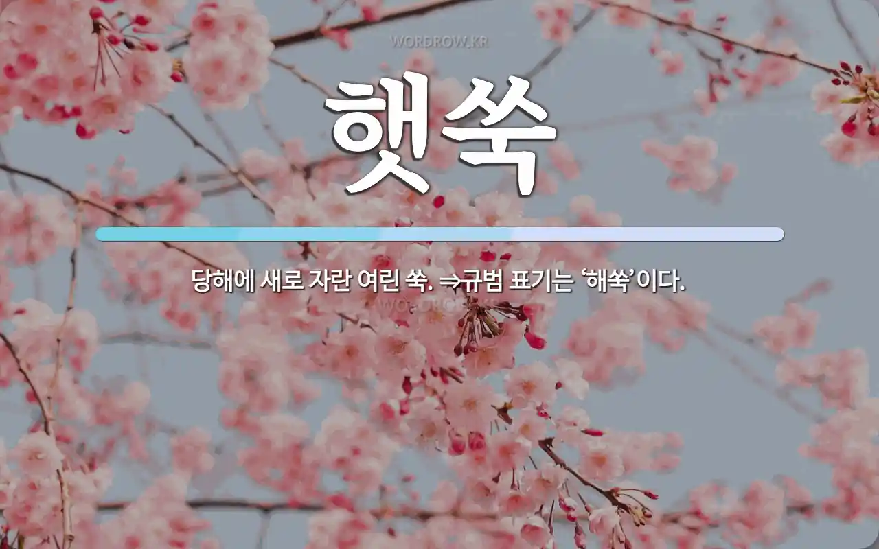 햇쑥 뜻 당해에 새로 자란 여린 쑥 ⇒규범 표기는 ‘해쑥이다