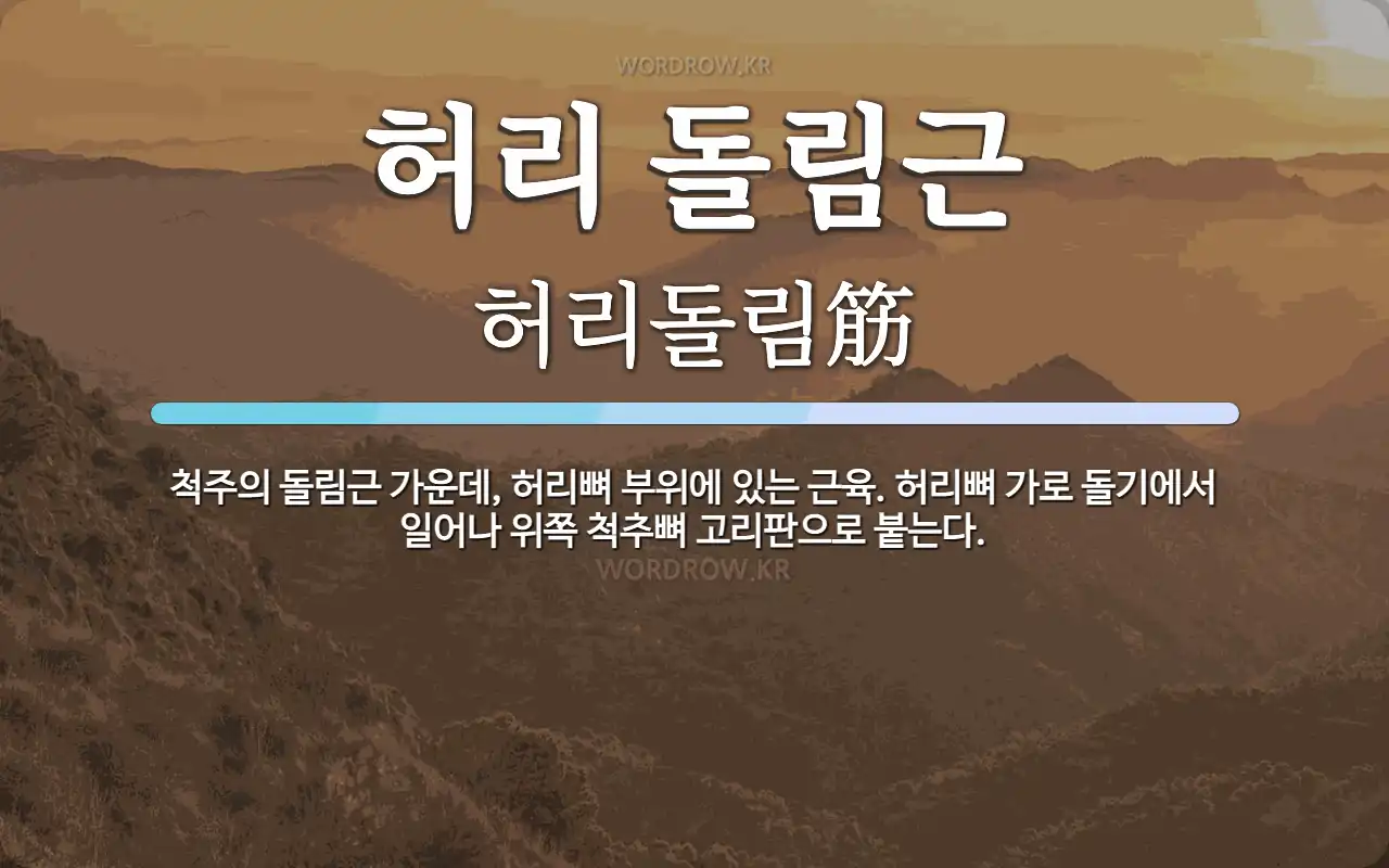 허리 돌림근 뜻 척주의 돌림근 가운데 허리뼈 부위에 있는 근육 허리뼈 가로 돌기에서 일어나 위쪽 척추뼈