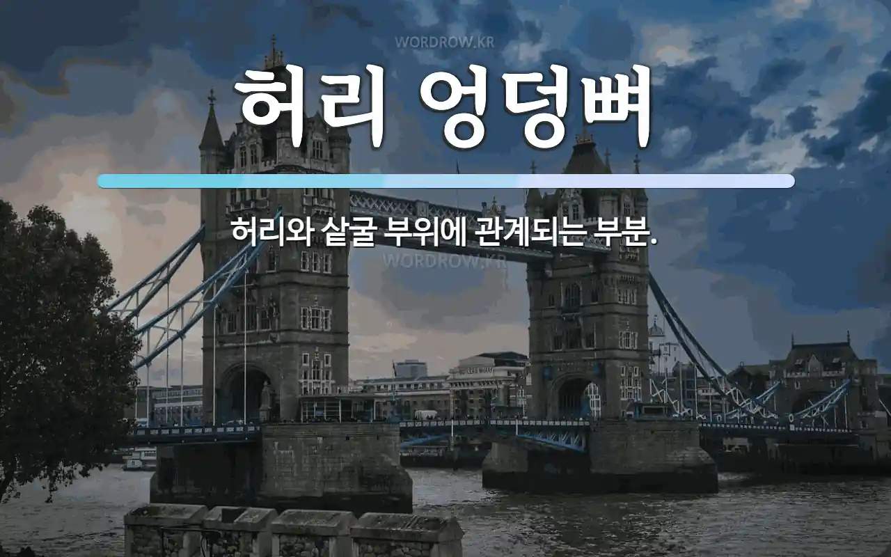 허리 엉덩뼈 뜻 허리와 샅굴 부위에 관계되는 부분