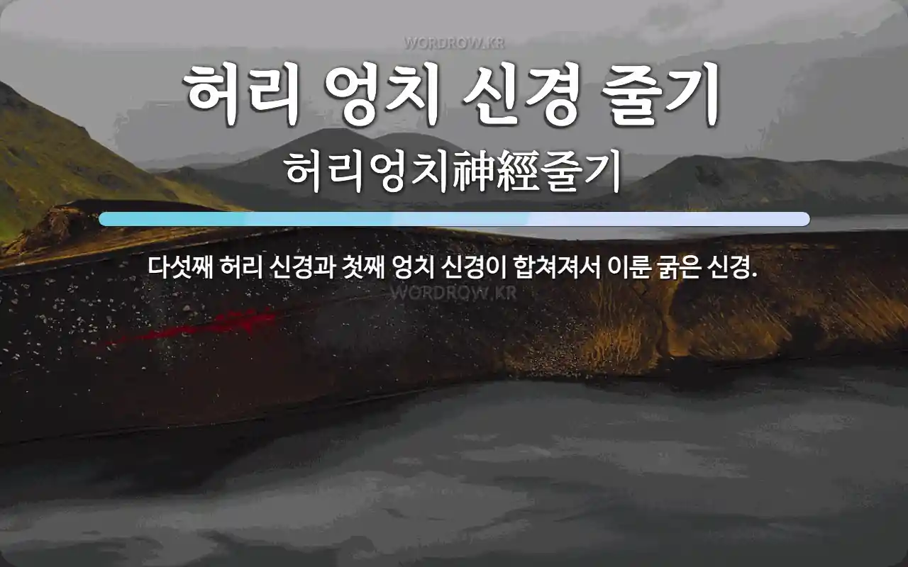 허리 엉치 신경 줄기 뜻 다섯째 허리 신경과 첫째 엉치 신경이 합쳐져서 이룬 굵은 신경
