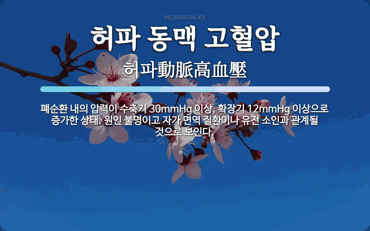 허파 동맥 고혈압 뜻 폐순환 내의 압력이 수축기 30mmhg 이상 확장기 12mmhg 이상으로 증가한 상태