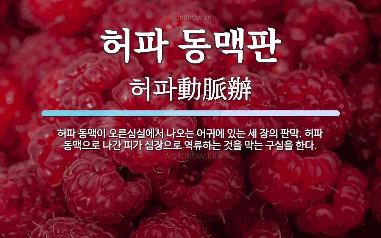 허파 동맥판 뜻 허파 동맥이 오른심실에서 나오는 어귀에 있는 세 장의 판막 허파 동맥으로 나간 피가 심장