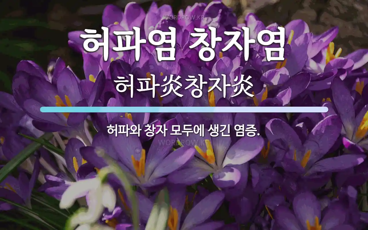허파염 창자염 뜻 허파와 창자 모두에 생긴 염증