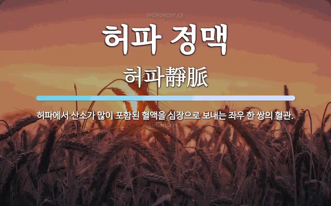 허파 정맥 뜻 허파에서 산소가 많이 포함된 혈액을 심장으로 보내는 좌우 한 쌍의 혈관