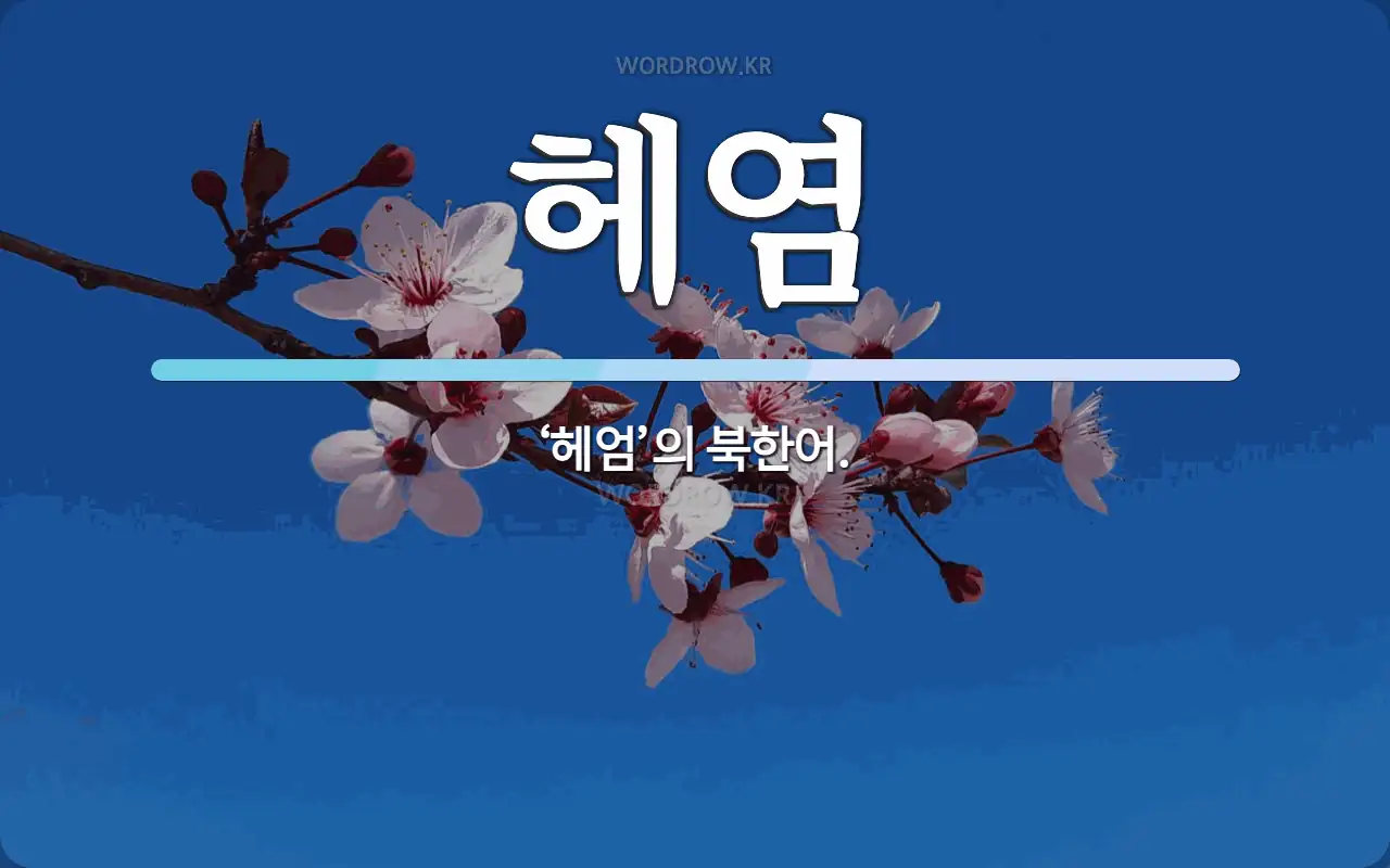 헤염 뜻 ‘헤엄의 북한어