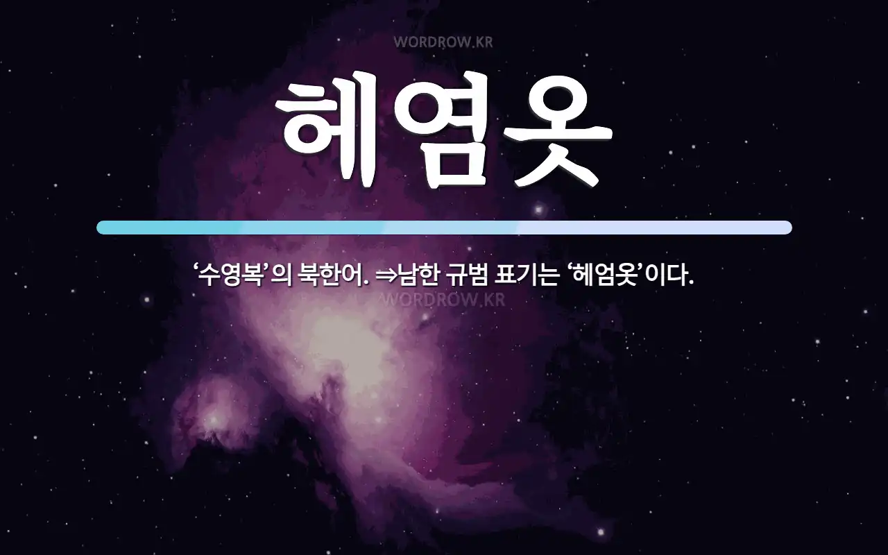 헤염옷 뜻 ‘수영복의 북한어 ⇒남한 규범 표기는 ‘헤엄옷이다