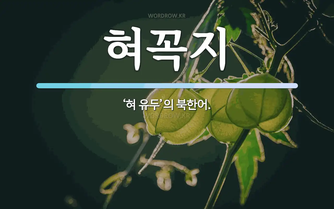혀꼭지 뜻 ‘혀 유두의 북한어