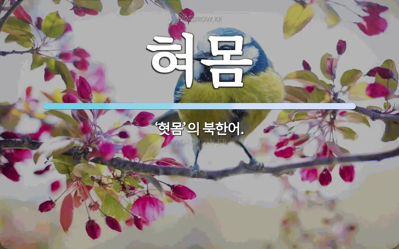 혀몸 뜻 ‘혓몸의 북한어