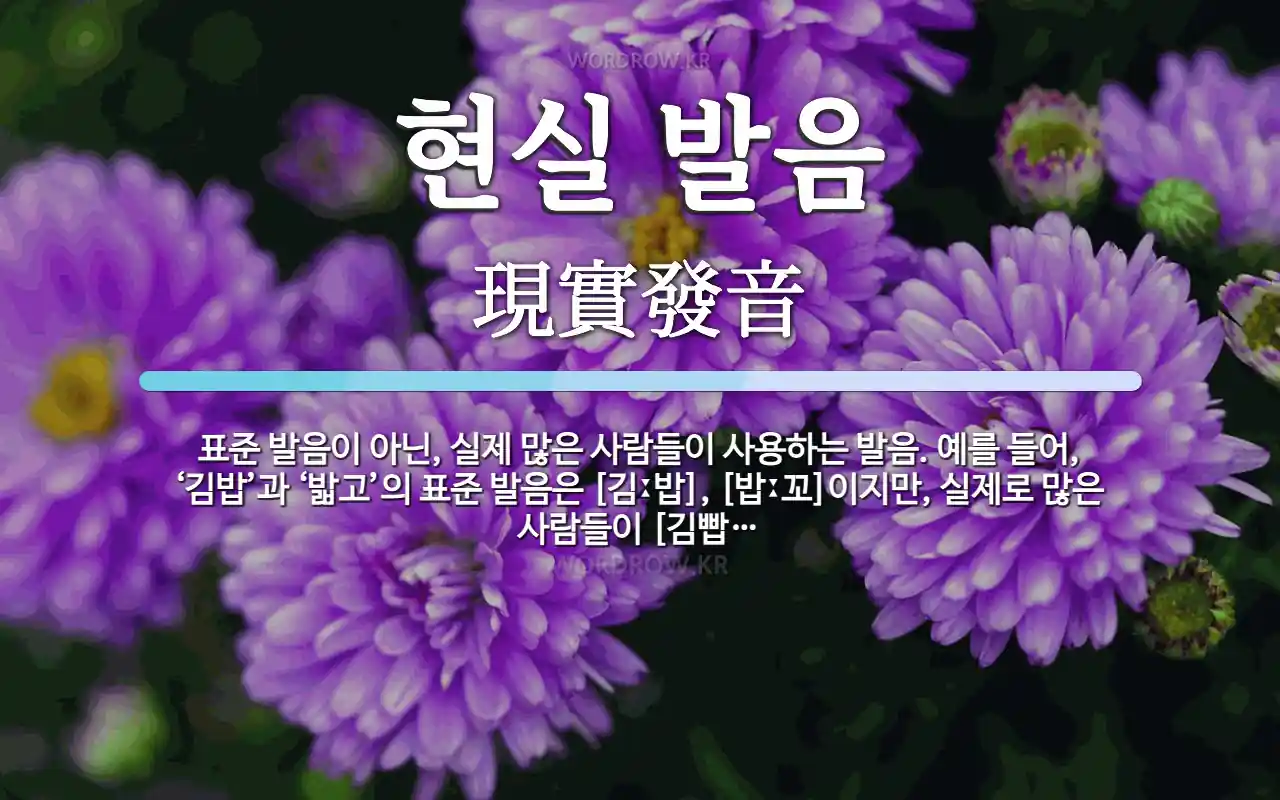 현실 발음 뜻 표준 발음이 아닌 실제 많은 사람들이 사용하는 발음 예를 들어 ‘김밥과 ‘밟고의