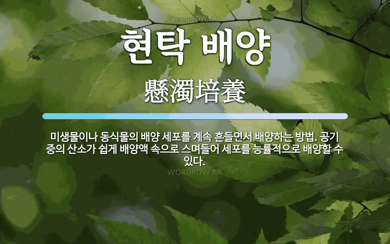 현탁 배양 뜻 미생물이나 동식물의 배양 세포를 계속 흔들면서 배양하는 방법 공기 중의 산소가 쉽게 배양