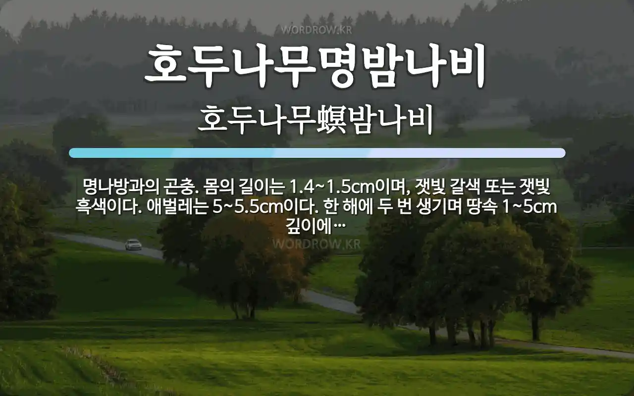 호두나무명밤나비 뜻 명나방과의 곤충 몸의 길이는 14~15cm이며 잿빛 갈색 또는 잿빛 흑색이다 애벌