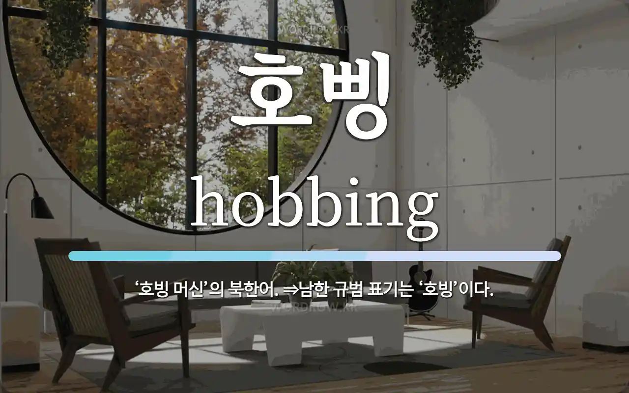 호삥 뜻 ‘호빙 머신의 북한어 ⇒남한 규범 표기는 ‘호빙이다