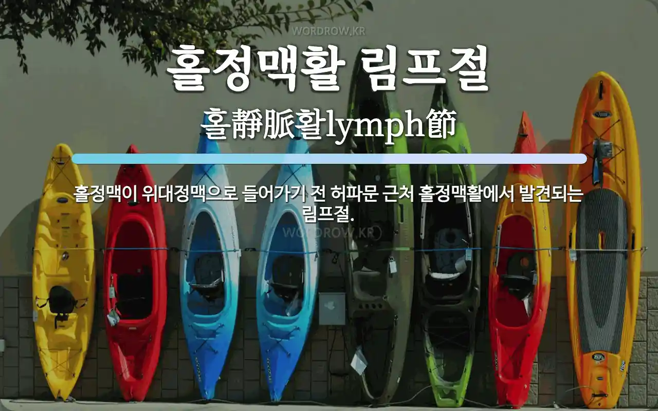 홀정맥활 림프절 뜻 홀정맥이 위대정맥으로 들어가기 전 허파문 근처 홀정맥활에서 발견되는 림프절