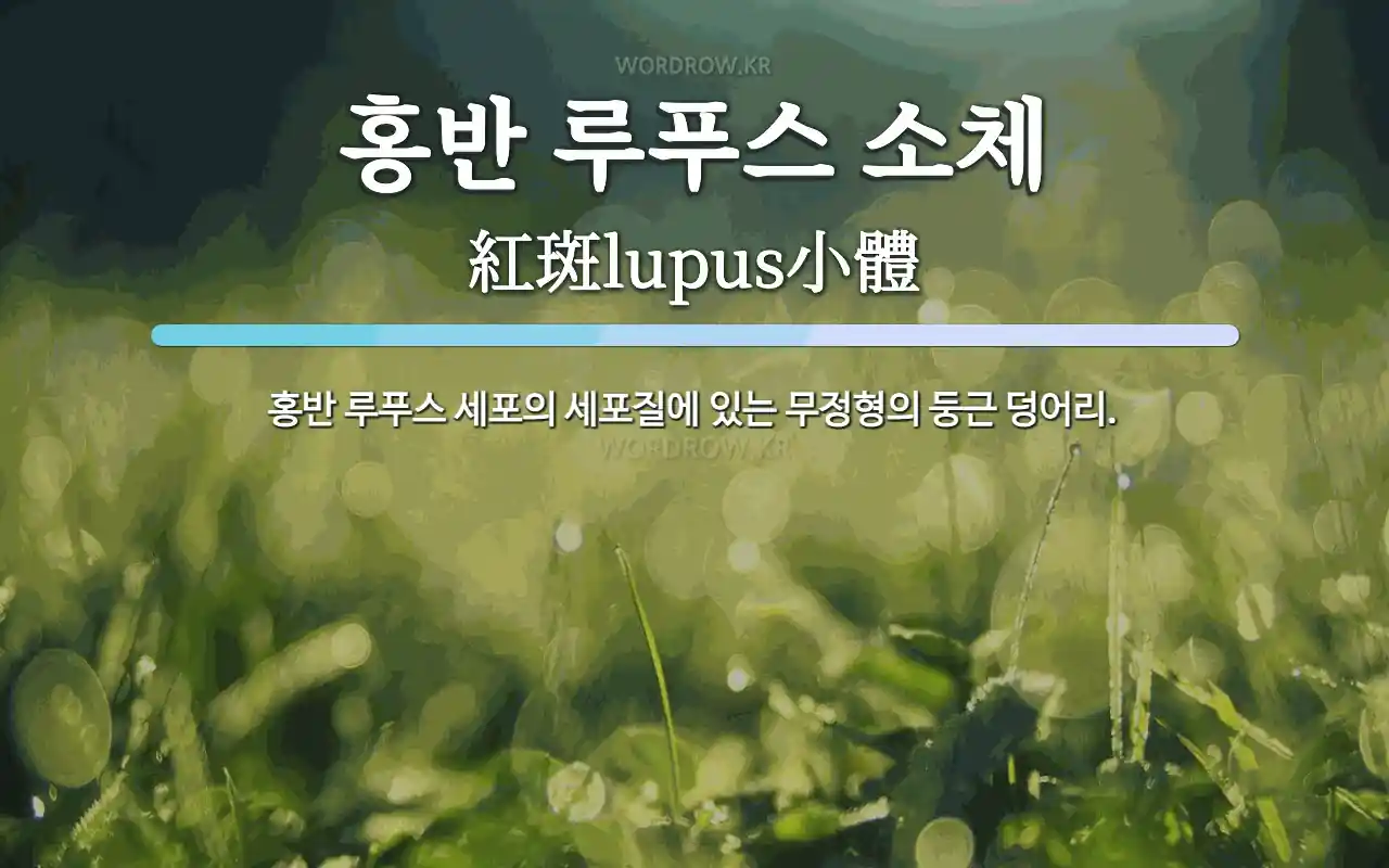 홍반 루푸스 소체 뜻 홍반 루푸스 세포의 세포질에 있는 무정형의 둥근 덩어리