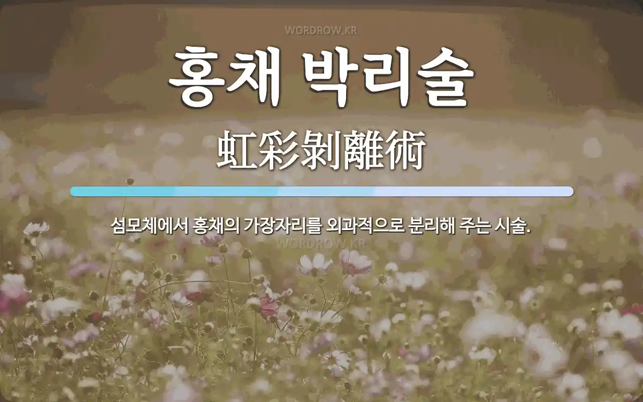 홍채 박리술 뜻 섬모체에서 홍채의 가장자리를 외과적으로 분리해 주는 시술