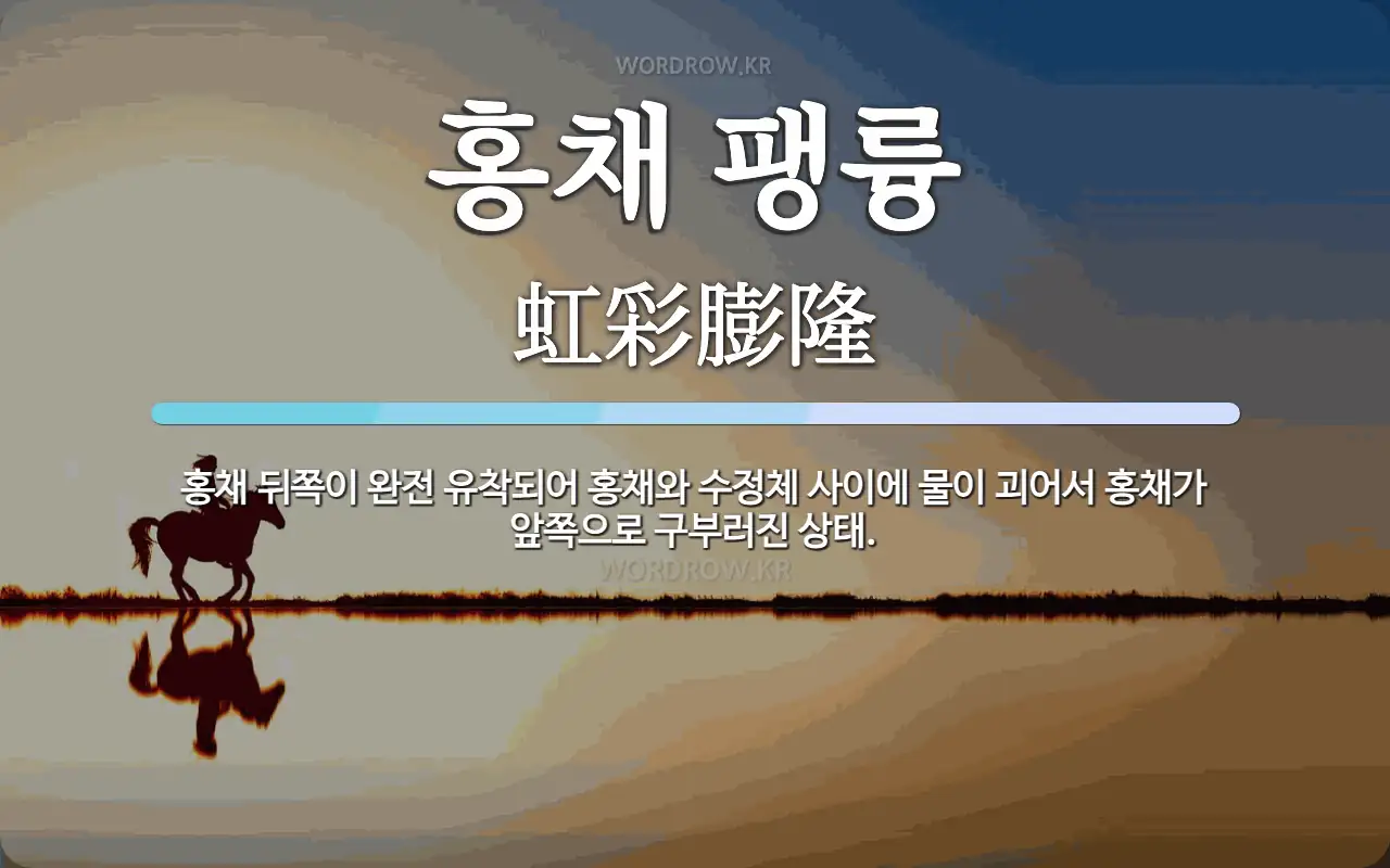 홍채 팽륭 뜻 홍채 뒤쪽이 완전 유착되어 홍채와 수정체 사이에 물이 괴어서 홍채가 앞쪽으로 구부러진 상태
