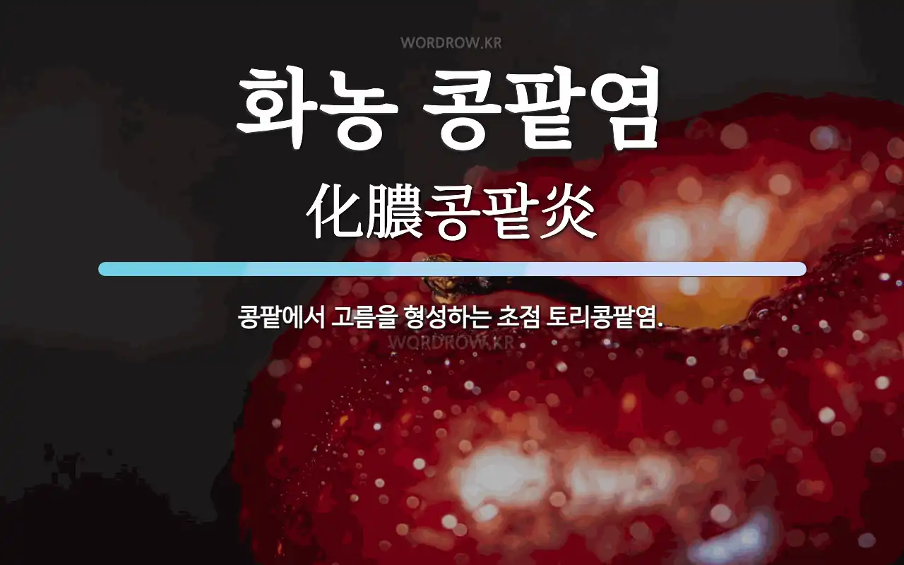 화농 콩팥염 뜻 콩팥에서 고름을 형성하는 초점 토리콩팥염