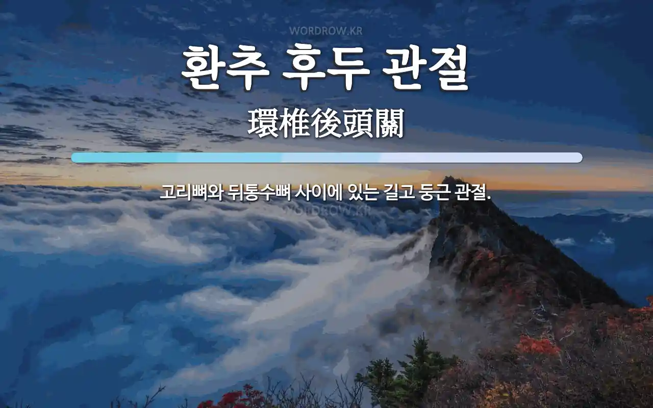 환추 후두 관절 뜻 고리뼈와 뒤통수뼈 사이에 있는 길고 둥근 관절