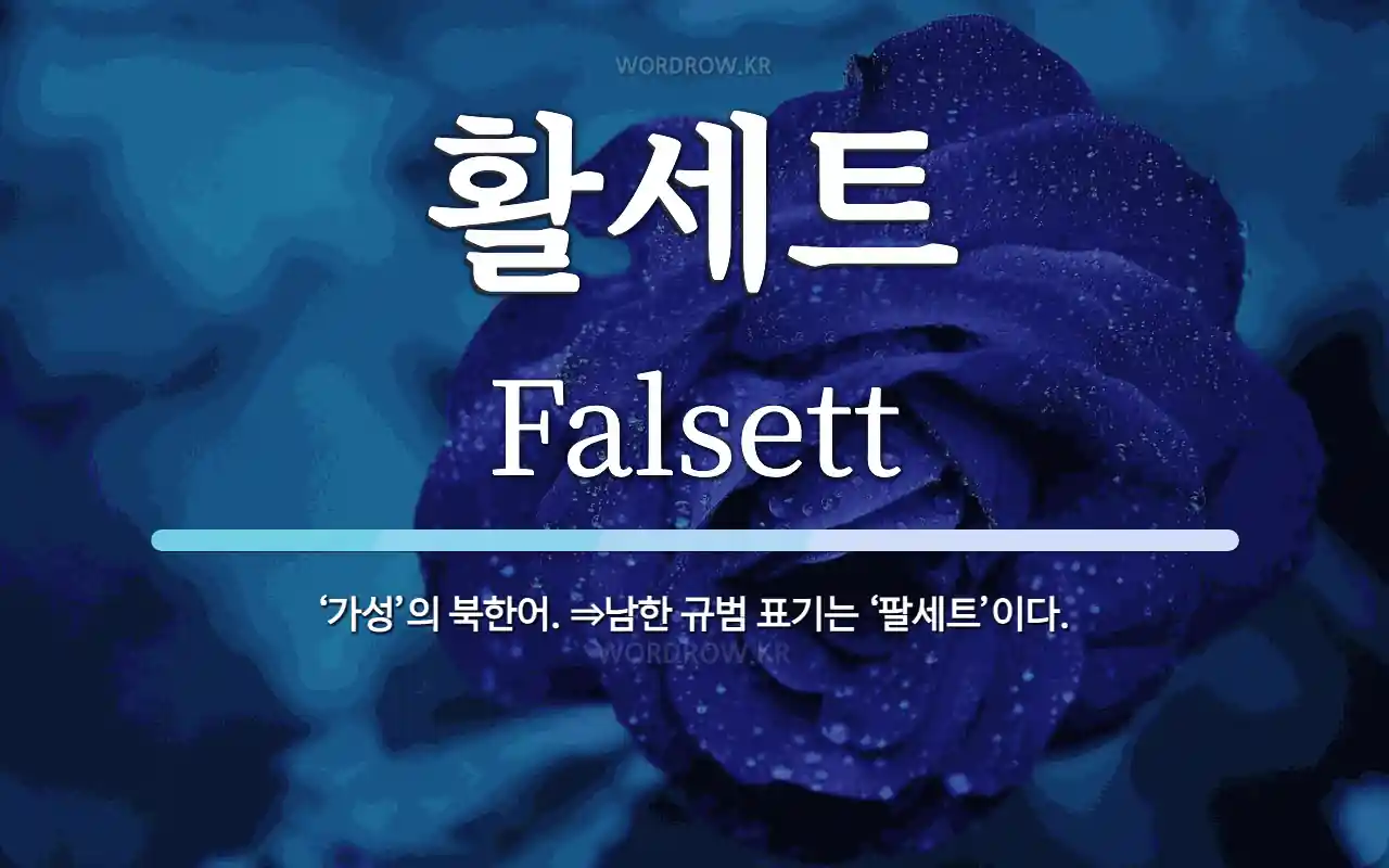 활세트 뜻 ‘가성의 북한어 ⇒남한 규범 표기는 ‘팔세트이다