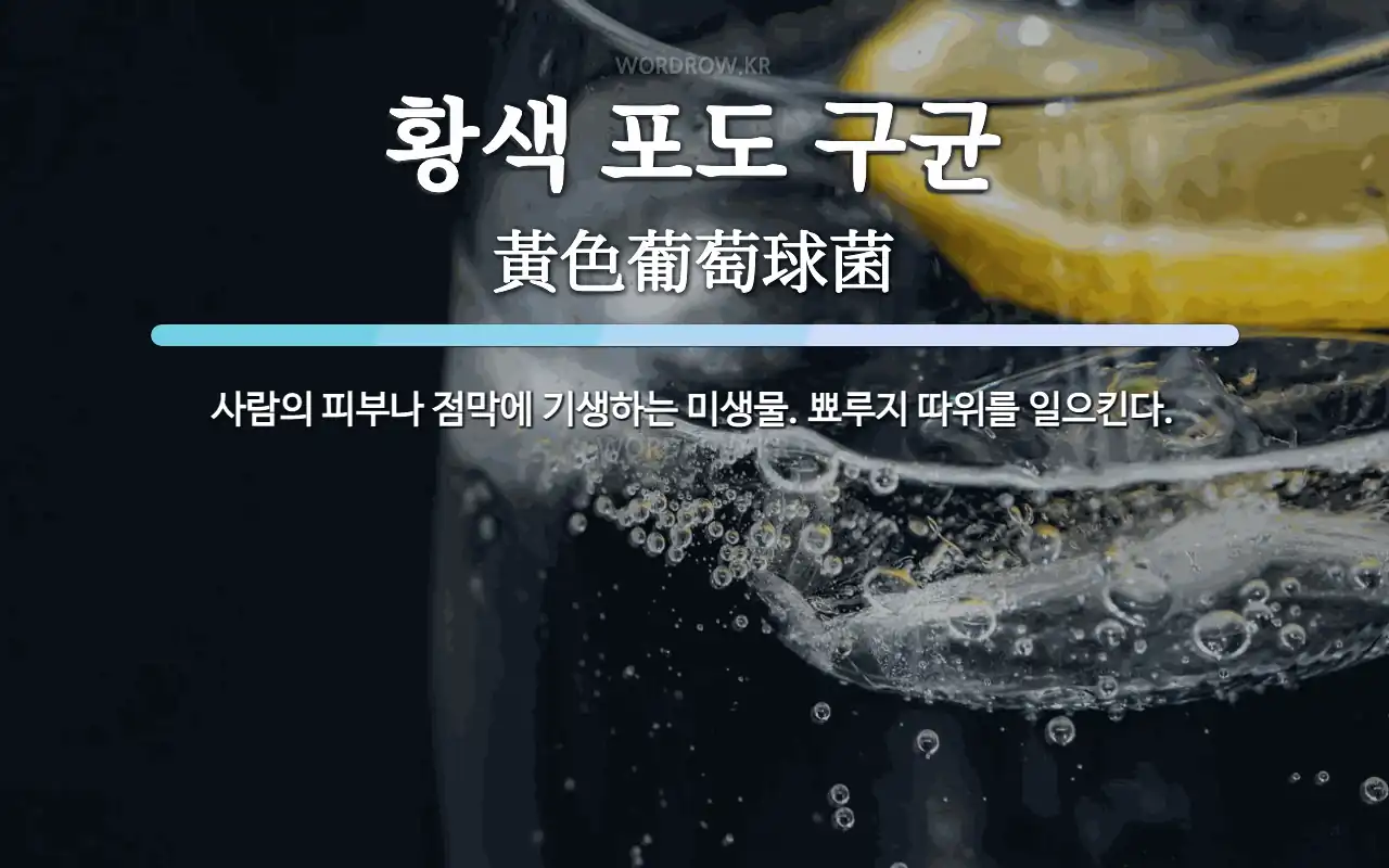 황색 포도 구균 뜻 사람의 피부나 점막에 기생하는 미생물 뾰루지 따위를 일으킨다