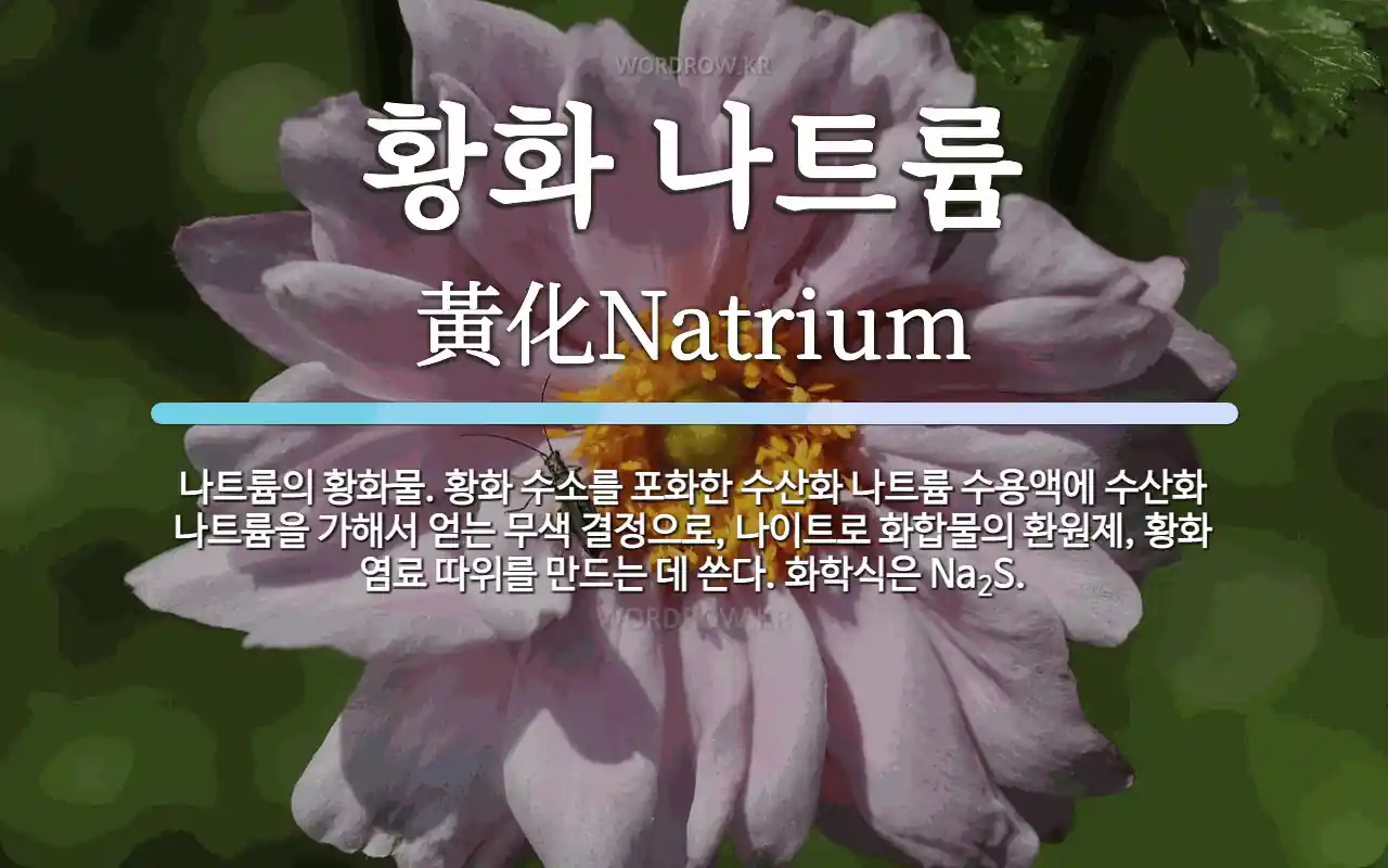 황화 나트륨 뜻 나트륨의 황화물 황화 수소를 포화한 수산화 나트륨 수용액에 수산화 나트륨을 가해서 얻는