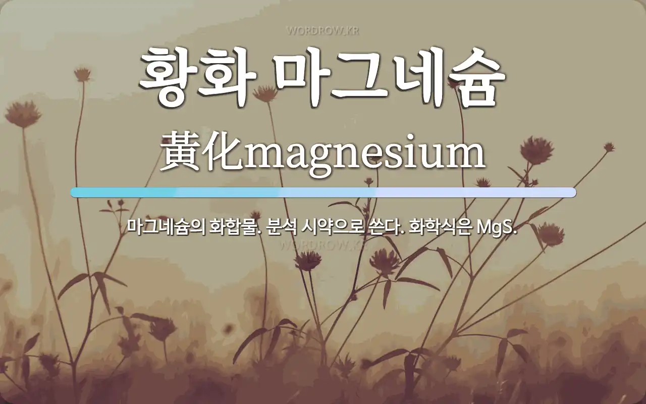 황화 마그네슘 뜻 마그네슘의 화합물 분석 시약으로 쓴다 화학식은 Mgs