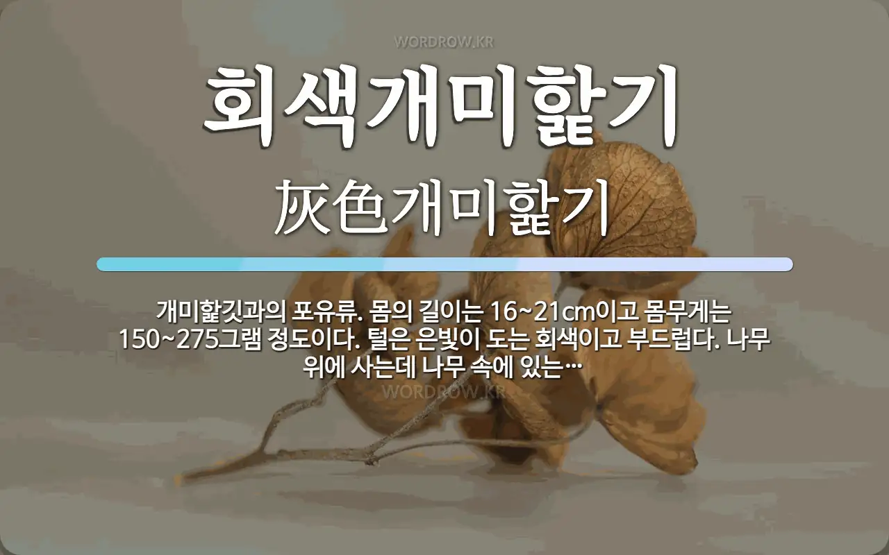 회색개미핥기 뜻 개미핥깃과의 포유류 몸의 길이는 16~21cm이고 몸무게는 150~275그램 정도이다