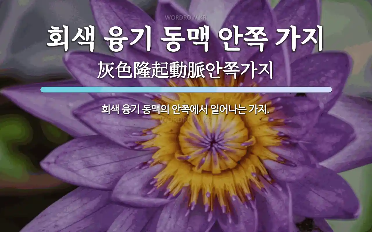 회색 융기 동맥 안쪽 가지 뜻 회색 융기 동맥의 안쪽에서 일어나는 가지