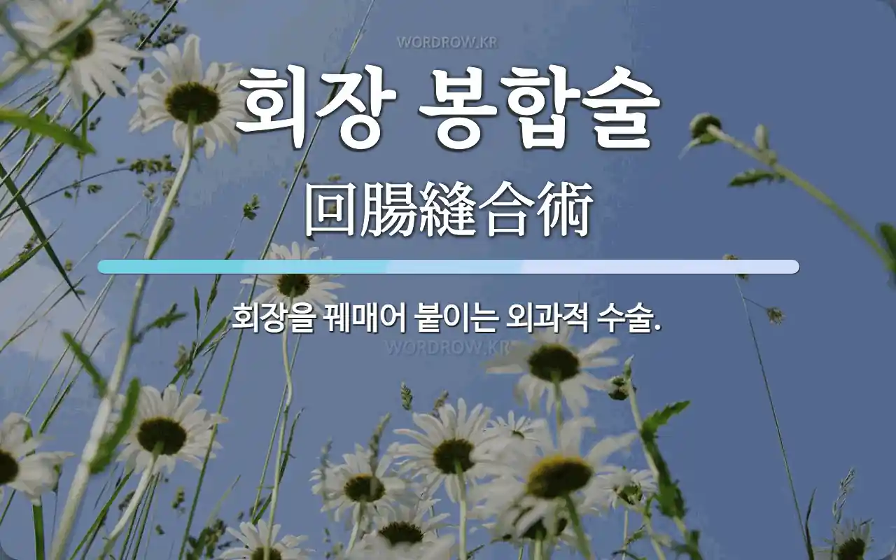 회장 봉합술 뜻 회장을 꿰매어 붙이는 외과적 수술