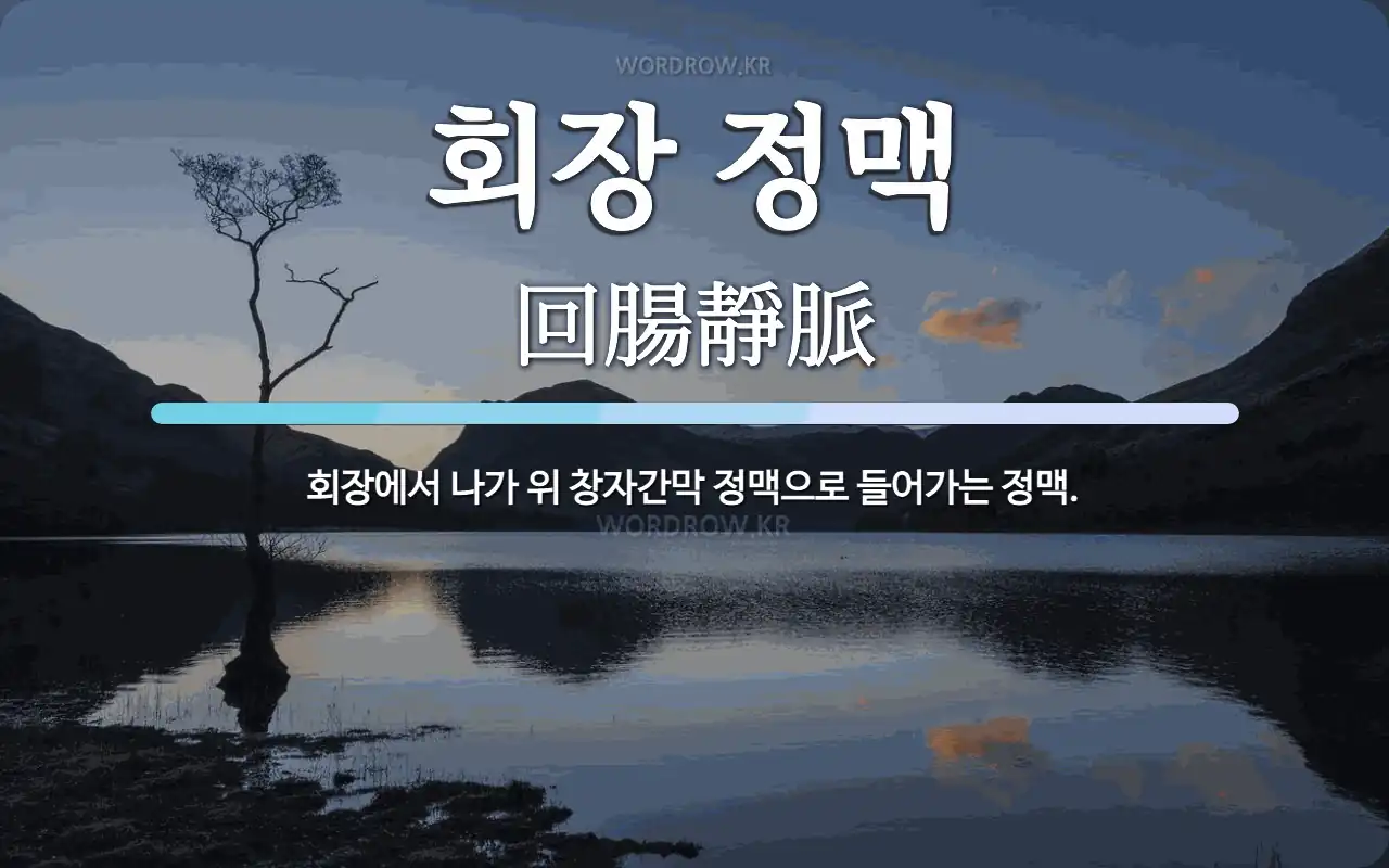 회장 정맥 뜻 회장에서 나가 위 창자간막 정맥으로 들어가는 정맥