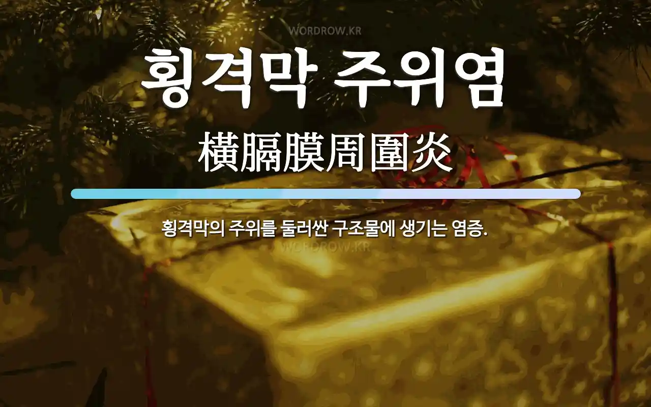 횡격막 주위염 뜻 횡격막의 주위를 둘러싼 구조물에 생기는 염증