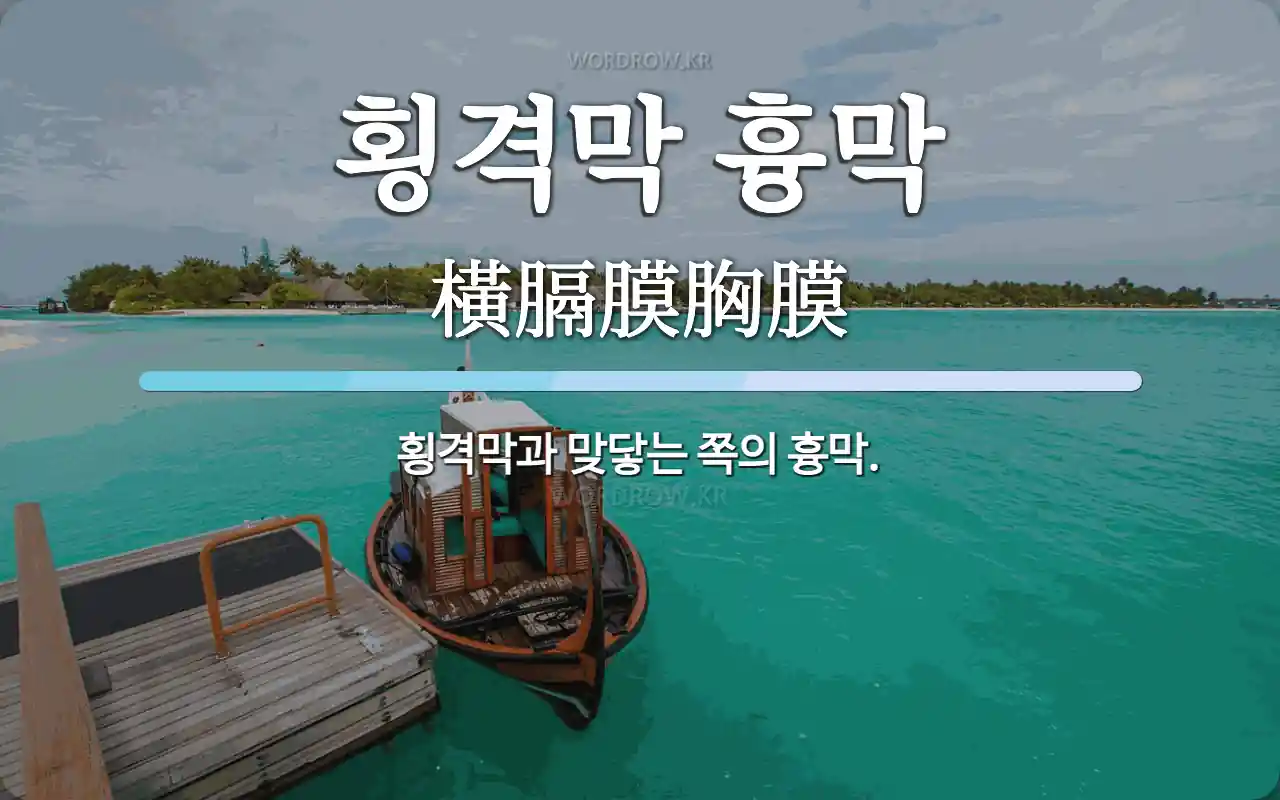 횡격막 흉막 뜻 횡격막과 맞닿는 쪽의 흉막