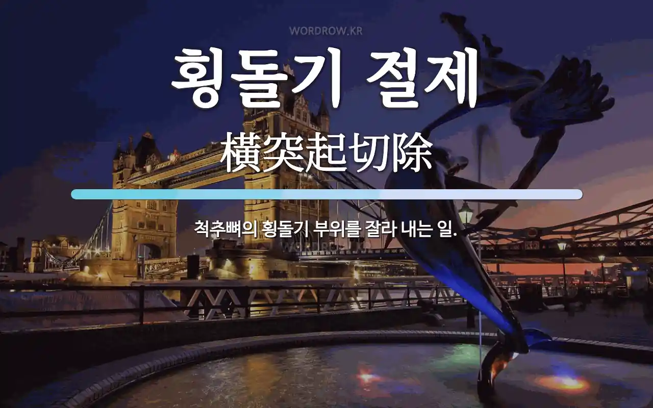 횡돌기 절제 뜻 척추뼈의 횡돌기 부위를 잘라 내는 일