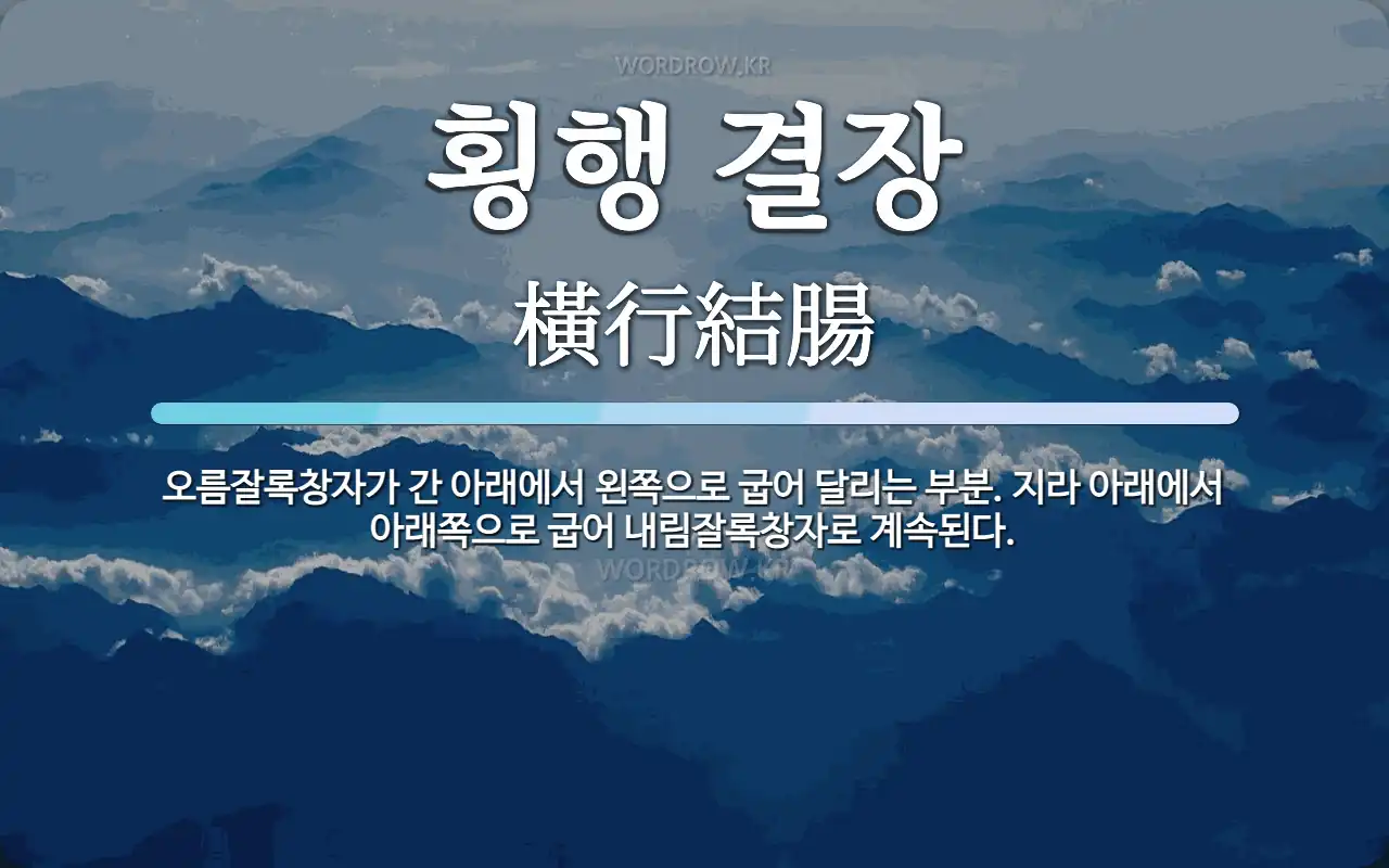 횡행 결장 뜻 오름잘록창자가 간 아래에서 왼쪽으로 굽어 달리는 부분 지라 아래에서 아래쪽으로 굽어 내림